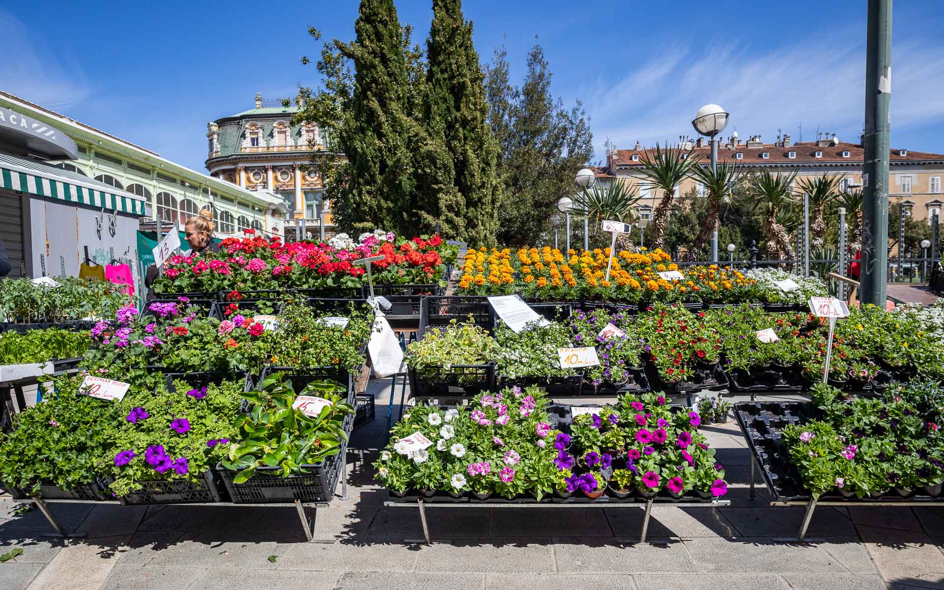 Rijeka plus objavio natječaj za prigodnu prodaju rasada cvijeća i ...