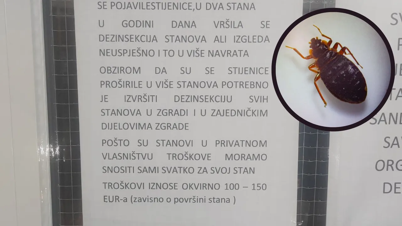 Stanare riječkog nebodera dočekao novi šok - dezinsekciju protiv ...