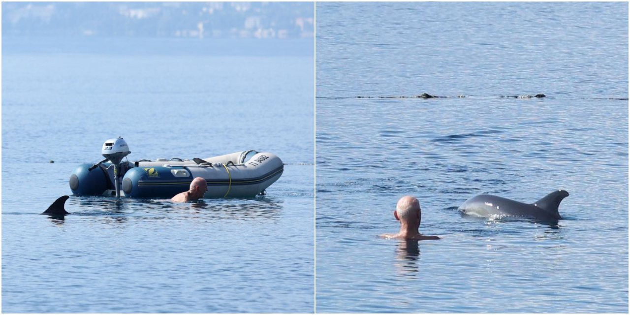 EVO GA OPET! Pitomi dupin danas uživao na riječkoj plaži Ploče u ...