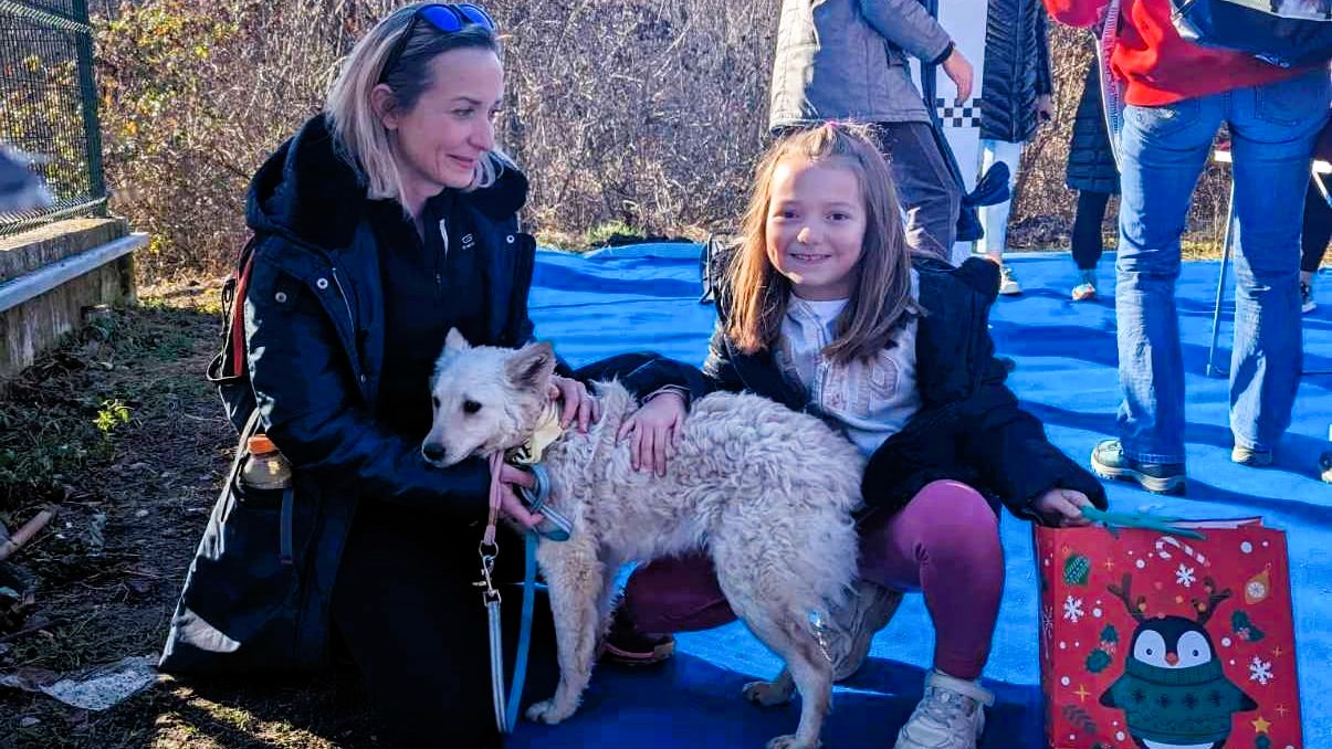 Veseli i lajavi Advent u Azilu: Pogledajte kako je protekao najslađi ...