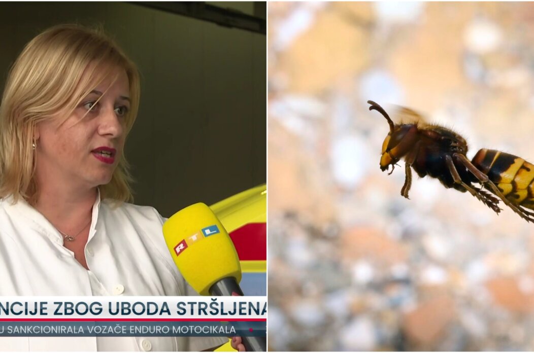 Ubod tri stršljena kao ugriz poskoka: Liječnica otkrila što prethodi ...