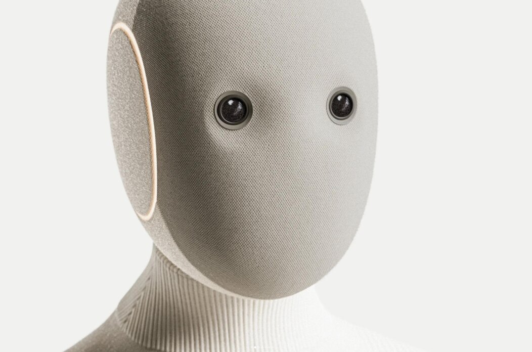 Slaže rublje, pere suđe, zalijeva cvijeće: Je li se pojavio prvi robot ...