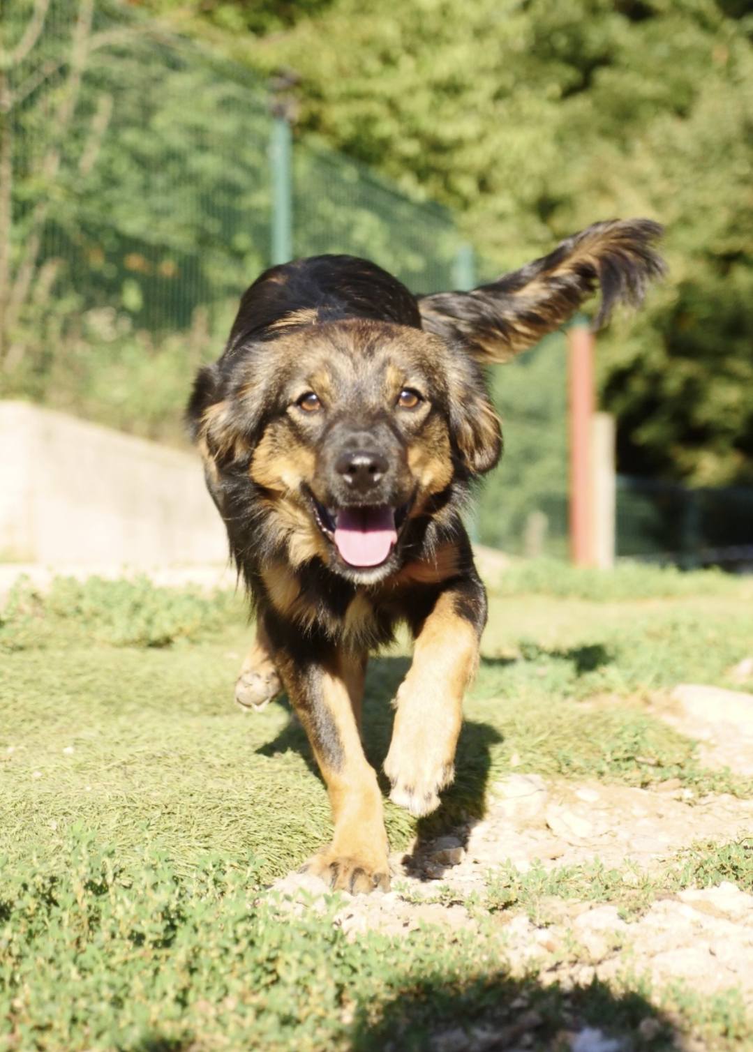 Šok i tuga u riječkom Azilu: Tijekom noći provaljeno u sklonište i ...